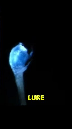 The anglerfishs incredible way of hunting😯💡🐟 #anglerfish #knowledge #facts #wildlife #animals