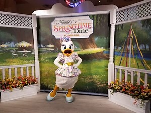 Minnie's Springtime Dine Celebrates Spring 2018 At Hollywood & Vine | Chip and Company