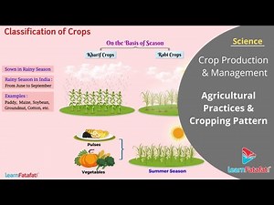 Crop Production and Management Class 8 Science - Agricultural Practices and Cropping Pattern