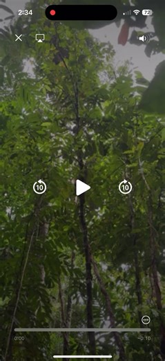 My Sloth Lesmen: An Adorable Adventure