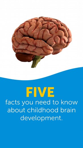 From the moment they’re born, infants’ brains constantly form connections. This process, called experience-dependent plasticity, means that every interaction, cuddle and conversation helps active specific neural pathways, strengthening those that are frequently engaged. 🧠 Learn more about the amazing baby brain: https://bit.ly/3DizYEX | ZERO TO THREE