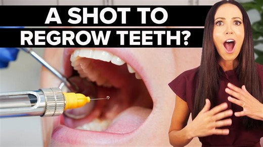 Can We Actually Regrow Teeth? The Science Behind the Tooth Regeneration Shot – Lifeboat News: The Blog