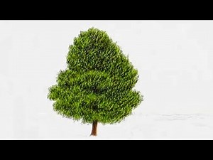 How To Draw A Tree With Colored Pencil | Tree Coloring | Drawing For Beginners