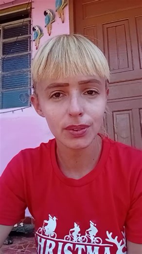 Renata Luzia Arduino on Instagram: "ALERTA DE SPOILER Resumão do Vol 2 da 5 Temporada de Stranger Things"