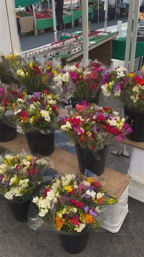 Spring is near, and we’re thrilled to welcome back @805.flowersgrowers to the @wellingtonsquarefarmersmarket this Sunday from 9-1pm! Stop by and pick up these stunning flowers to brighten your home and celebrate the upcoming Spring season. Don’t miss out on these floral beauties! #WellingtonSquareFarmersMarket #FarmersMarketFlowers #FreshBlooms #SupportLocal #WestAdams #LosAngelesFarmersMarket #SpringVibes #805Flowers #FlowerPower #ShopSmall | Wellington Square Farmers Market | Facebook