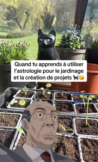 Découvrez l'art du jardinage avec le calendrier lunaire