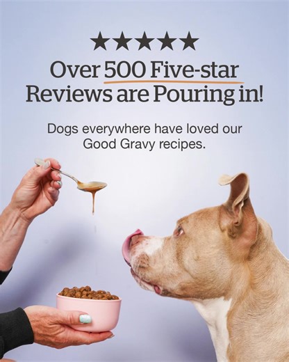 Good Gravy: 500 5-Star Reviews from Pet Parents