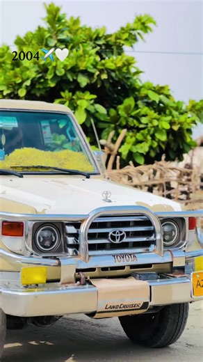 Exploring 2004: A Year in Review