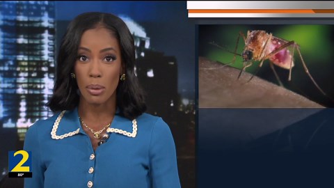 Officials warn about offers from unlicensed pest control companies