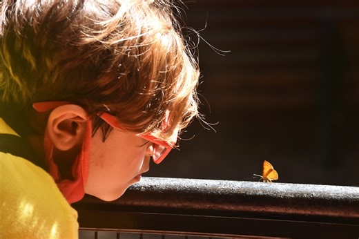 How to Think Like a Beginner: Why Your Expertise Might Be Holding You Back