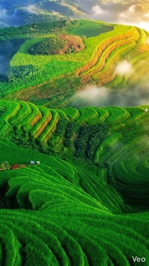 Dragon's Backbone — A View From Above