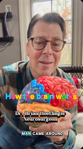 10K views · 333 reactions | Learn how the lobes of the brain work with a fun little story. Share with your kids #brain #learningisfun #fyp | Dr. Brian Hoeflinger, MD | Facebook