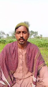 New Example from Rehmat Ali #Foryou #reels23 #Ali #ahmad #pti #Bayan #Islamic #sajda #islam #Reel #fbreel #Foryou #Trending #Viral #dance #Status #islam #raza #umar #Desireels #temu #salman #happy #Chacha #alt #rehmat #Ali #qabar | Chacha Production