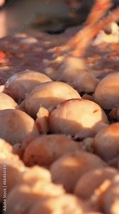 Japanese street food booth cooking squid octopus cuttlefish ball. Japanese takoyaki.