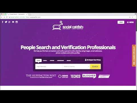 Social Catfish Tutorial