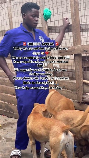 URGENT Last meal served 💔We need $700 for food & bills.Donate via PayPal or Donorbox. Please help