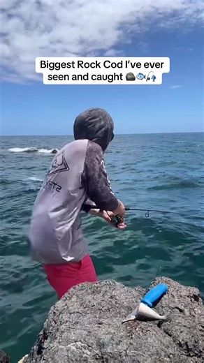 Biggest Rock Cod Caught in New Zealand Fishing Adventure