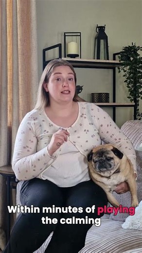 Anxious dog? 🐶💔 Press play. Relaxation starts here.