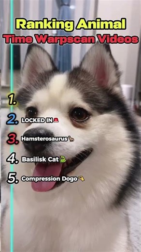 Ranking Animals Through Time Warp Scan ☠️ #shorts #animals #trending