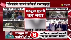 10K views · 184 reactions | Watch Till End | Kashmir Insight's | Facebook