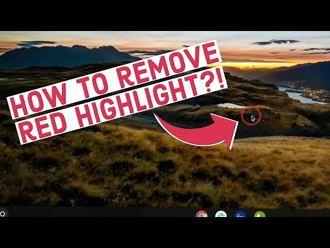How to: Remove highlighted mouse cursor