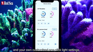 3.2K views · 311 reactions | Meet the ReefLED G2 60, the ReefLED G2...