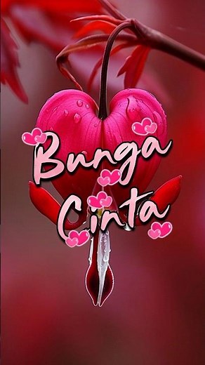 Bunga Cinta #bungacantik #faktamenarik #shorts