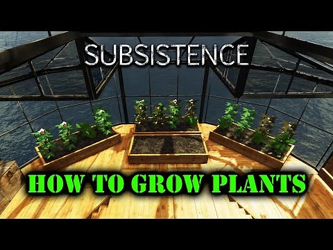 How to Grow Plants in Subsistence