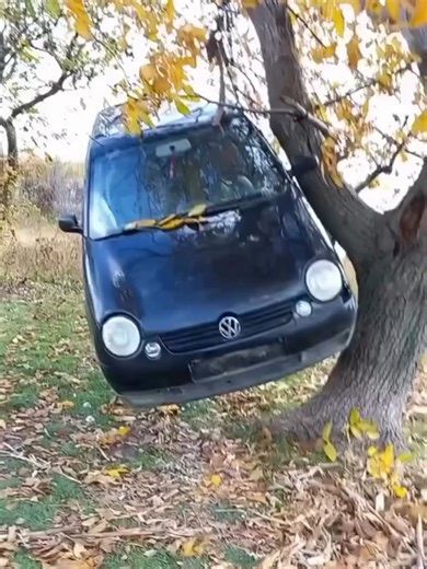 Oops Can't Park There - Dubstep Moments at Lost Lands Festival