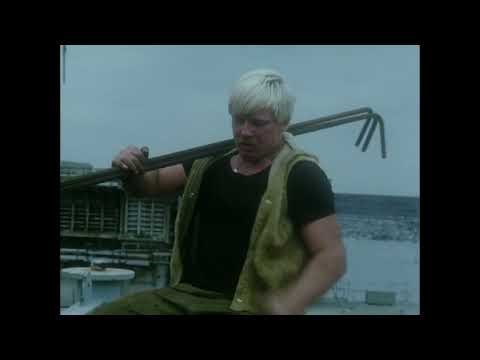 Dutch History: The Delta Works Are in Full Swing! (1981)