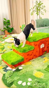 🐶Prepare your pet for the ultimate XP boost in comfort and style with this pixel style stair! 🧡Knee protection✅Combining sturdy steps, secret storage, and a cozy hideout.🤩 | FUNNYFUZZY