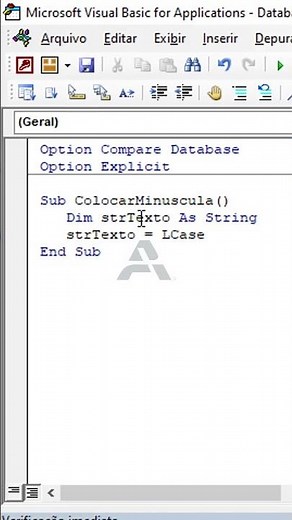 Como Colocar um Texto em Minúsculo no Access VBA