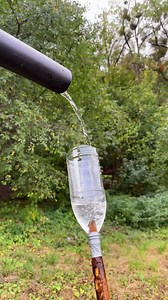 An Easy Way to Repel Birds | Astuces du Panda