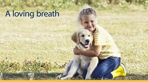 ProDen PlaqueOff Powder for Pets - Cat & Dog Breath Freshener - Plaque & Tartar Remover for Pet Oral Care - 60g