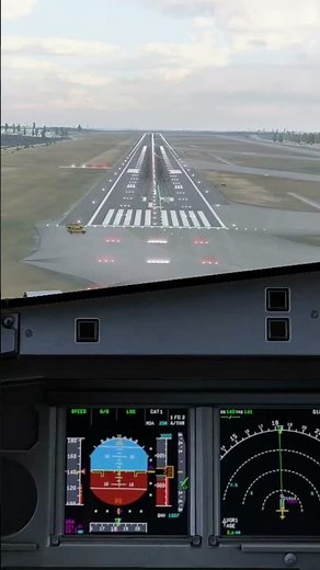 SAS Airbus A330-300 Landing at Stockholm Arlanda Airport | X-Plane 12