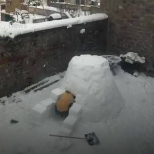 118K views · 417 reactions | Ice cool: These housemates made the most of the snow by joining forces to build an igloo. bit.ly/3qaQKKo | STV News | Facebook