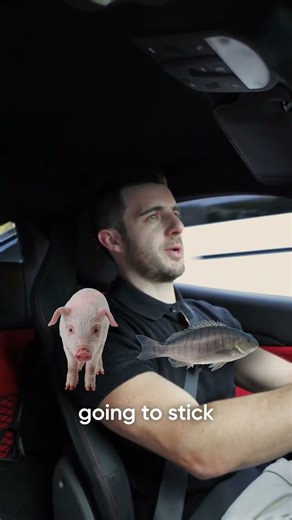 Healthiest Food ChallengeWhat's the most PRO food?