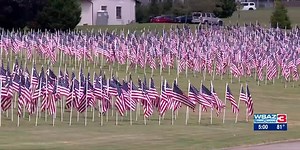 Healing Field returns to Spring Hill Cemetery