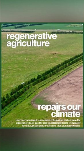 What Is Regenerative Agriculture? - Lesson 4: The Regenerative Classroom #curriculum #education