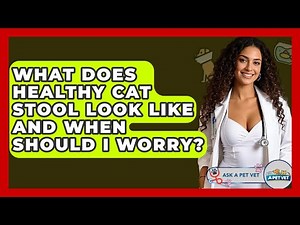 What Does Healthy Cat Stool Look Like And When Should I Worry? - Ask A Pet Vet
