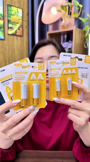 Pin 1.5V Beston: The Ultimate Guide