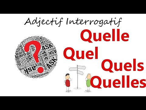 Les Adjectifs Interrogatifs : Quel, Quelle, Quels, Quelles ! Interrogative adjectives : Which/What