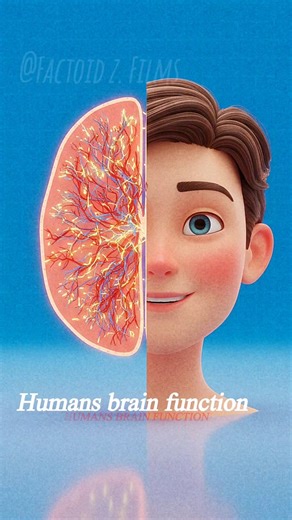 Brain working animation #physics #alberteinstein #ytshorts