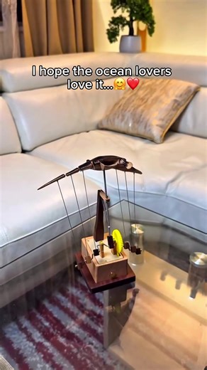 Exploring Manta Rays and Stingrays in the Ocean