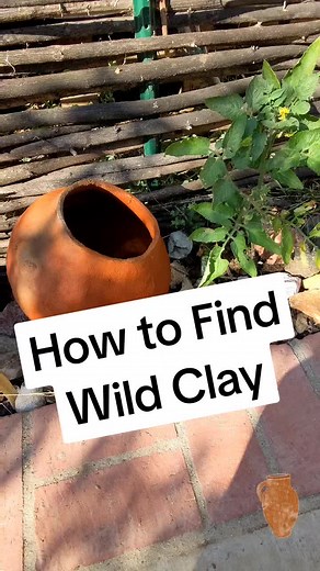 How to Find Wild Clay: A Guide to Ancient Pottery Making
