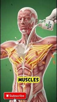 What Happens Inside Your Body When You Eat Fig? (3D Medical Animation)