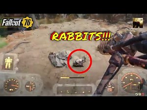 ☢️Fallout 76 WHERE TO FIND RABBITS