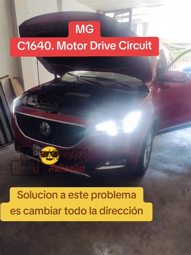 Error Interno en la ECU del Volante Electroasistido