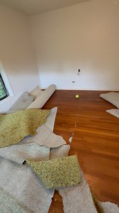 40K views · 298 reactions | here’s some real life build content ✨ this is from 2023 when we first moved into our house and started renovating it. I was pulling up the carpet and found the most beautiful natural wood floors 凉 our house was built in the 50’s so the carpet is probably from the 70s 樂 | daniellebuilds | Facebook