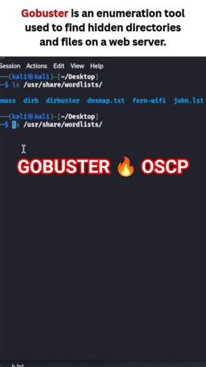 Gobuster in 20 Seconds | OSCP Web Hacking Quick Demo #gobuster #oscp #exampreparation